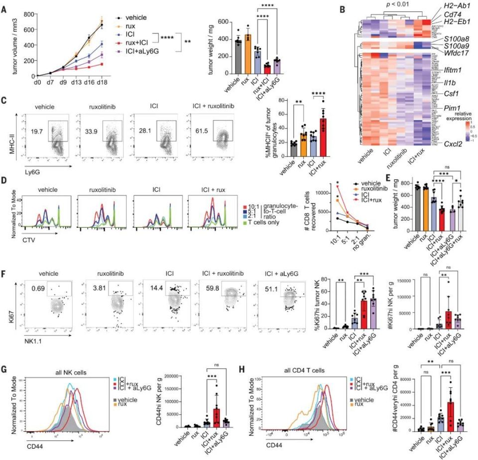 《科学》双重磅：免疫治疗迎来最不可能的强援！科学家发现，JAK抑制剂竟能大幅增强PD-1抑制剂治疗肺癌和淋巴瘤的效果_腾讯新闻