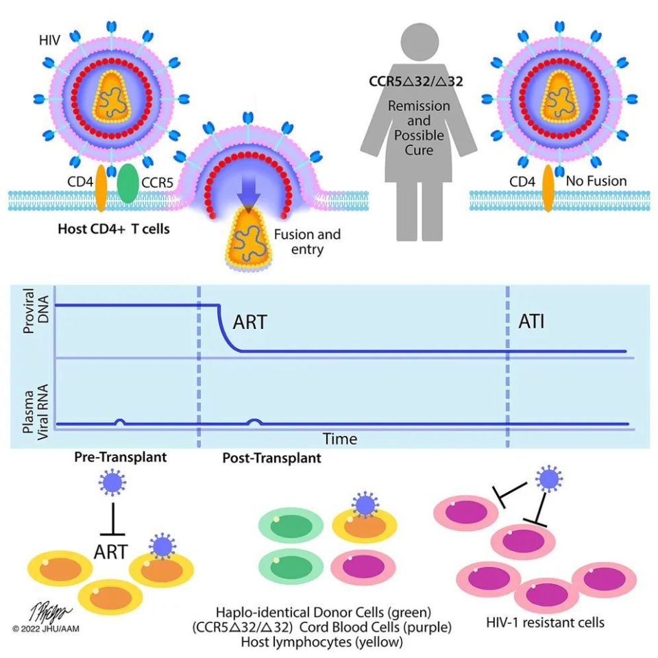 Cell年度TOP：9论文榜单重磅揭晓！中国团队研究占据3席_腾讯新闻