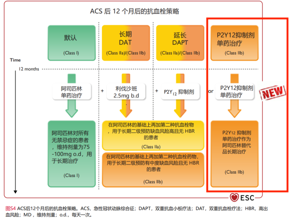 2023ESC ACS指南震撼发布：开创ACS整体谱系管理新格局，首次推荐P2Y12i长期单抗！_腾讯新闻