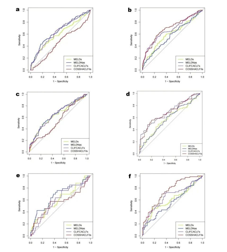 APASL 2025丨韩涛教授团队在肝衰竭、肝癌、肝纤维化等领域收获5项重要成果_腾讯新闻
