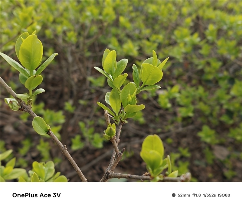 一加Ace 3V全面评测：1999起 年轻人的第一部AI手机_腾讯新闻