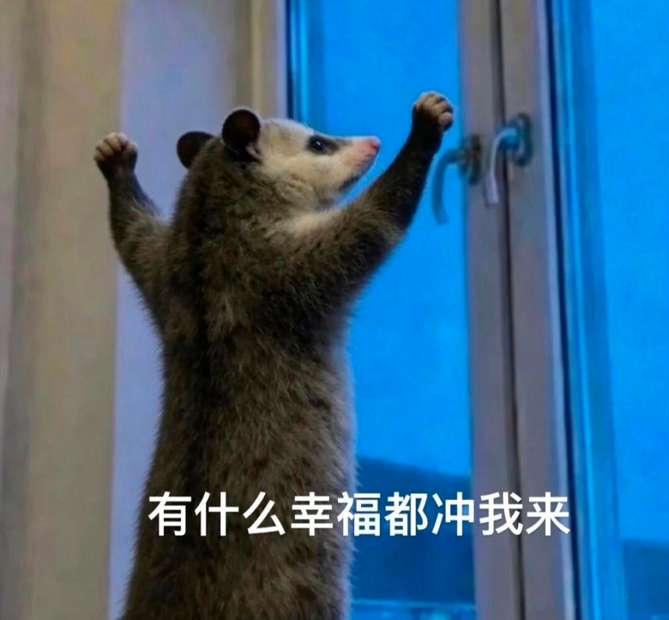 窗前背手的“负鼠”火了！专家：它真不是老鼠！腾讯新闻 7674