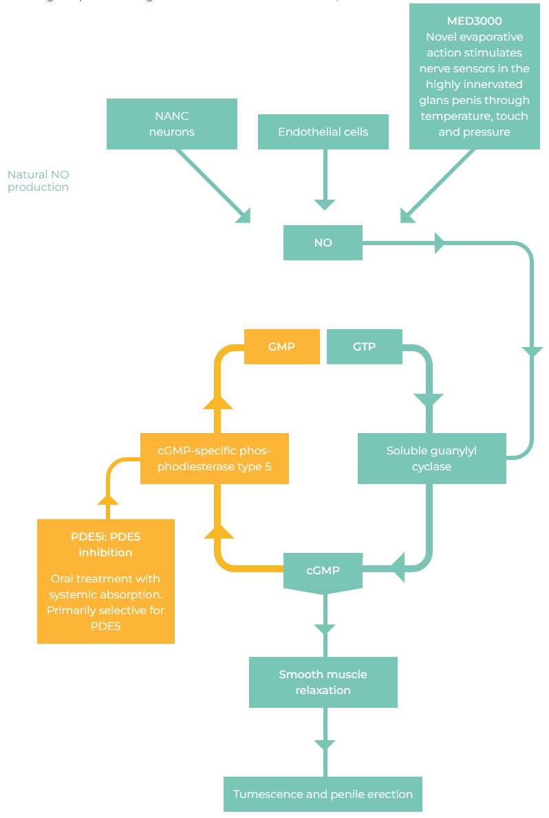 十分钟起效，涂抹式ED新药获批_腾讯新闻