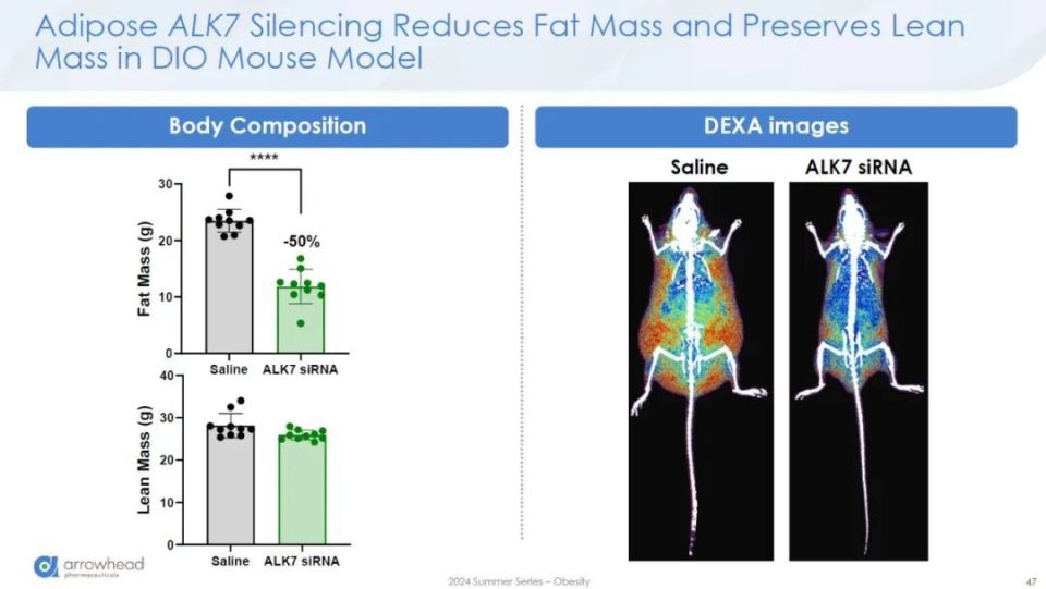 减脂不减肌，两款新机制减肥疗法进入临床；潜在首款，小分子疗法递交上市申请_腾讯新闻