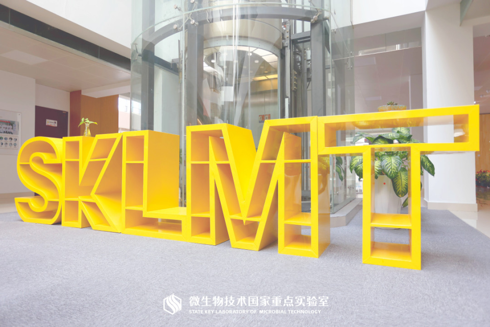 重磅引才丨@2025海外优青，山东大学微生物改造技术全国重点实验室（研究院）等您加盟！推广_腾讯新闻