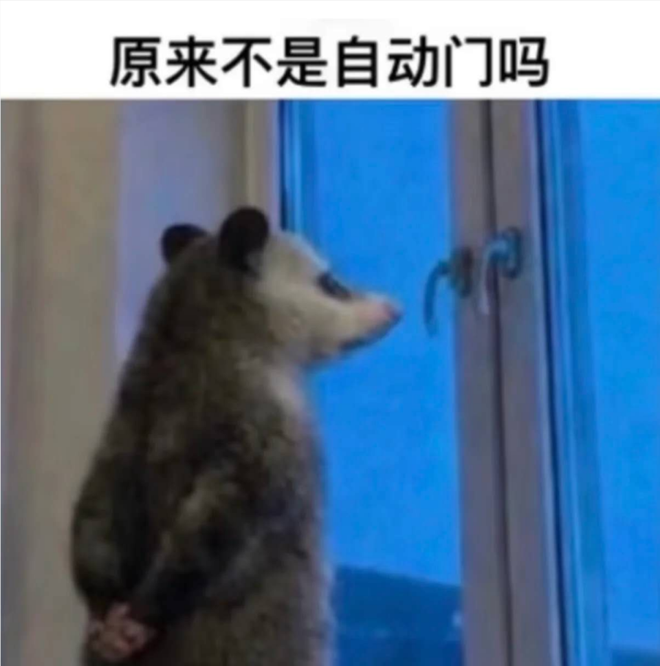 “背手负鼠”火了！网友：我将全网收集这只负鼠的表情包_腾讯新闻