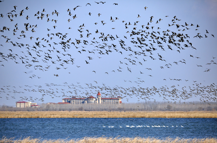【新闻早茶】今日立冬，这份养生防病“秘籍”请收好，还有这些热点……_腾讯新闻