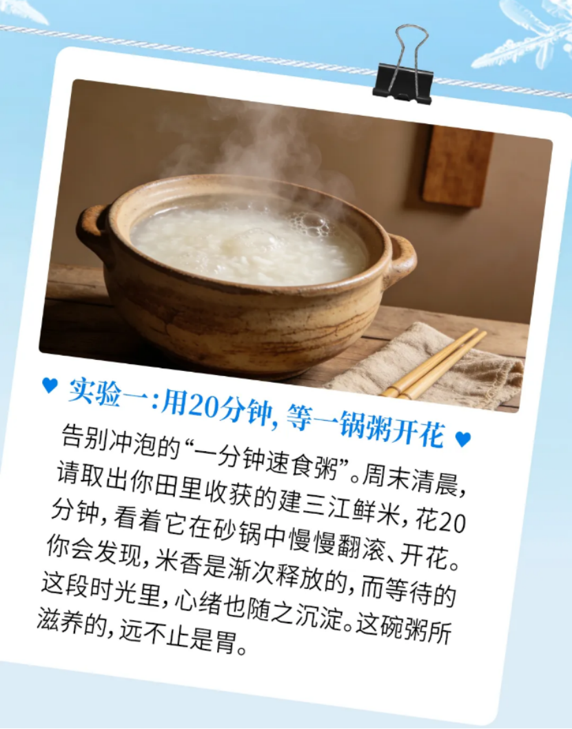 冬日“慢养”哲学：“慢”下来，你反而会得到更多_腾讯新闻