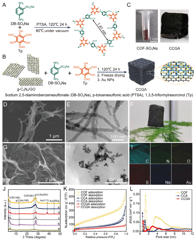 江苏师范大学AFM：多功能阴离子COF气凝胶，实现选择性去除污染物与超灵敏检测_腾讯新闻
