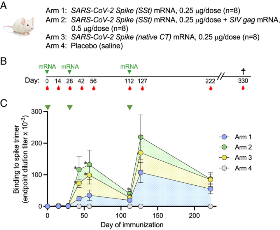 【文献阅读】PNAS|再创新！通过共表达gag蛋白和嵌合Spike，使得新冠mRNA 疫苗形成VLP而提升中和抗体滴度和广谱性_腾讯新闻