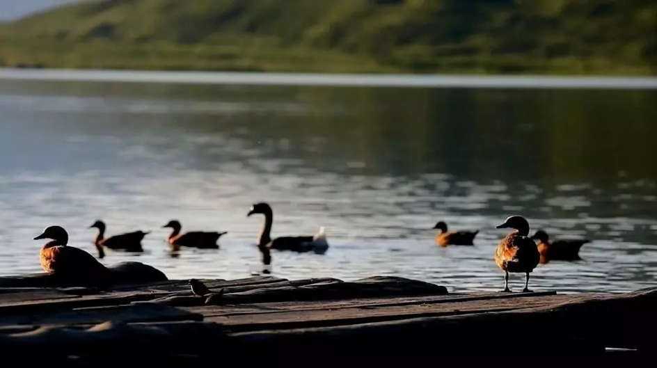 千山叠翠绘丹青——写在甘孜州成功创建国家生态文明建设示范区之际_腾讯新闻