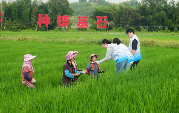 “蒲公英”普法的N种方式，你知道几个？快来解锁！_腾讯新闻