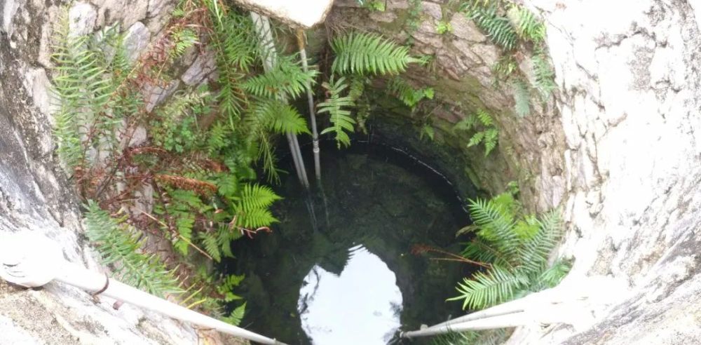 蚊子可能就从家里这些地方“养”出来！100张现场图告诉你_腾讯新闻