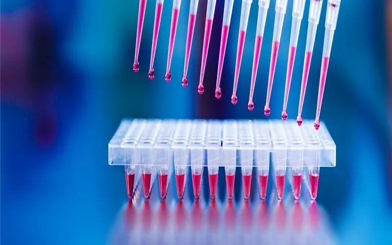 一文读懂：PCR，qPCR，Real-time PCR，RT-PCR和RT-qPCR_腾讯新闻