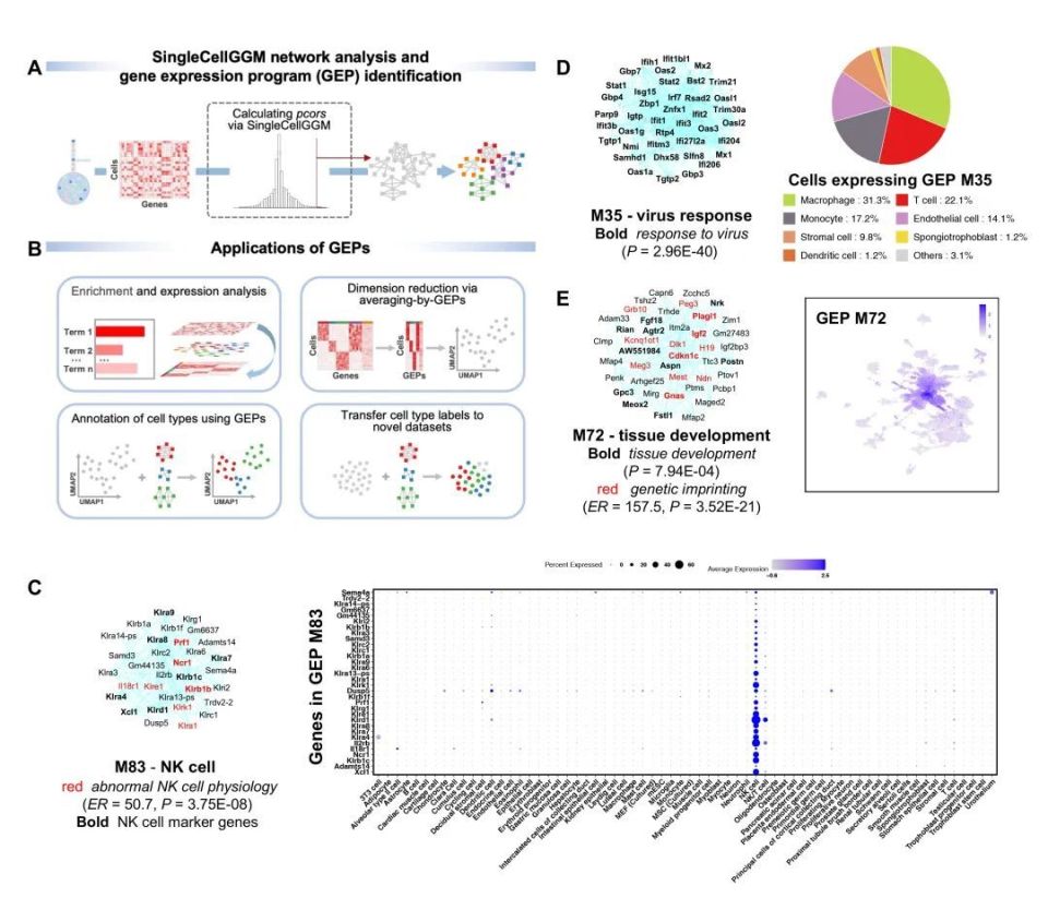 Cell Rep Methods+Plant Commun | 中国科大马世嵩课题组开发新型单细胞基因共表达网络分析算法_腾讯新闻