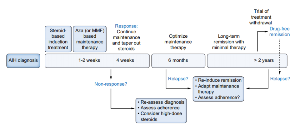 JOH丨自身免疫性肝炎研究进展：从机制到临床管理的革新_腾讯新闻