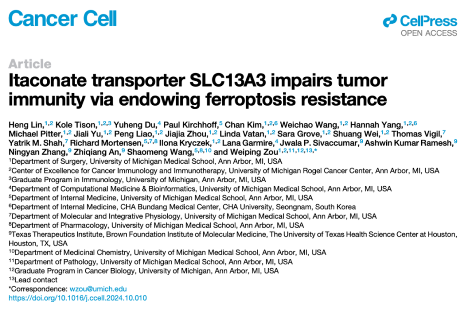 Cancer Cell：邹伟平团队揭示衣康酸转运蛋白SLC13A3赋予肿瘤铁死亡抗性，削弱肿瘤免疫治疗效果_腾讯新闻