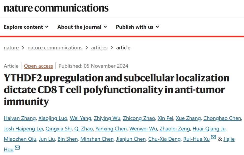 【Nature子刊】澳门大学侯嘉杰团队揭示YTHDF2如何激活CD8 T细胞，引领肿瘤治疗新方向！_腾讯新闻