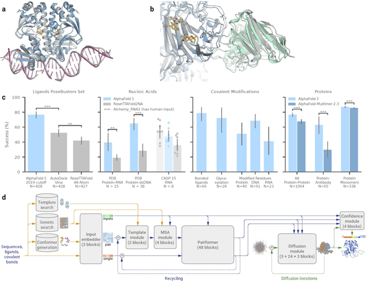 谷歌DeepMind再放大招！AlphaProteo直接设计全新结合蛋白，加速药物设计和对疾病的理解_腾讯新闻