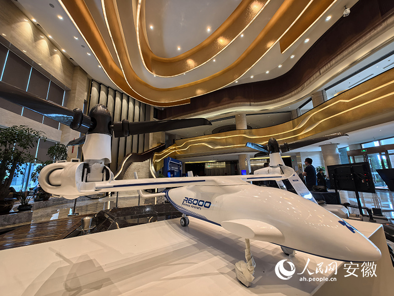 促进创新要素高效流通 南陵县举办供需对接大会_腾讯新闻