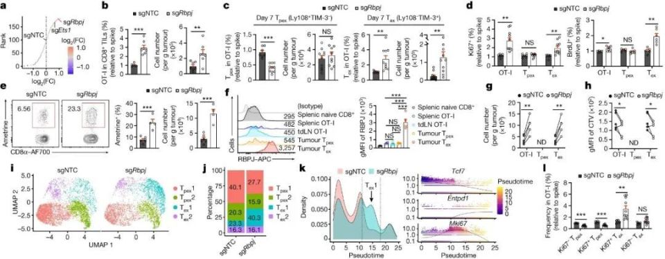 【Nature】重磅突破！迟洪波团队发现决定T细胞命运的三个检查点，有望重塑癌症免疫治疗_腾讯新闻
