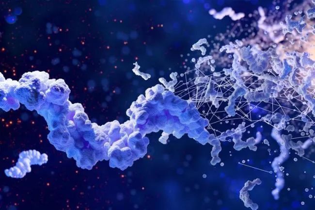 韩国版AlphaFold？深度学习模型AlphaPPIMd：用于蛋白质-蛋白质复合物构象集合探索_腾讯新闻