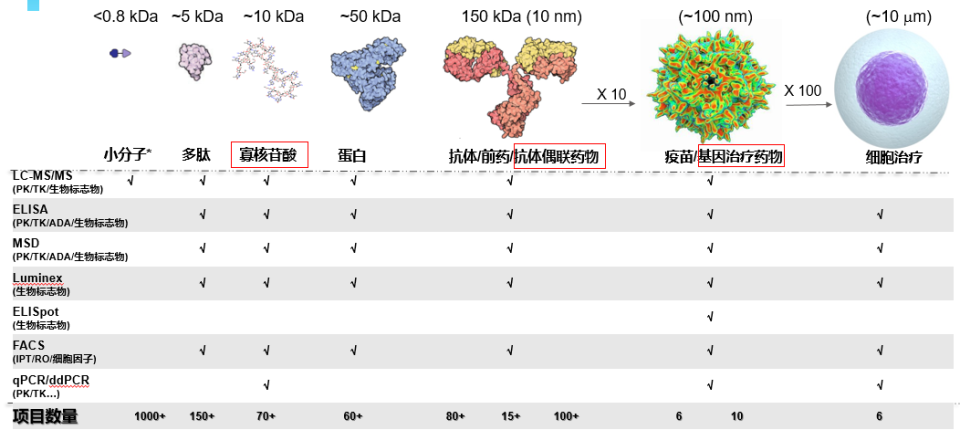 从PCC到IND，药明康德WIND助你加速“通关”！_腾讯新闻