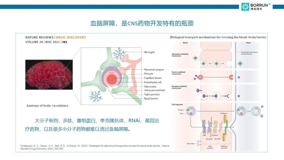 国内首部《中枢神经系统（CNS）药物研发报告》_腾讯新闻