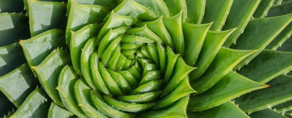 科学畅想：数学有着生物学起源 腾讯新闻