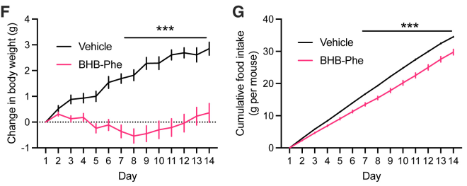 《细胞》：生酮饮食好处+1！华人科学家团队发现全新酮体代谢通路，代谢物可抑制食欲、抵抗肥胖丨科学大发现_腾讯新闻