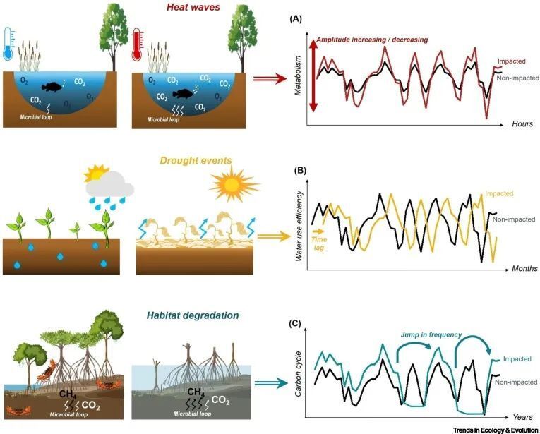 Trends in Ecology & Evolution | 2024年度综述_腾讯新闻