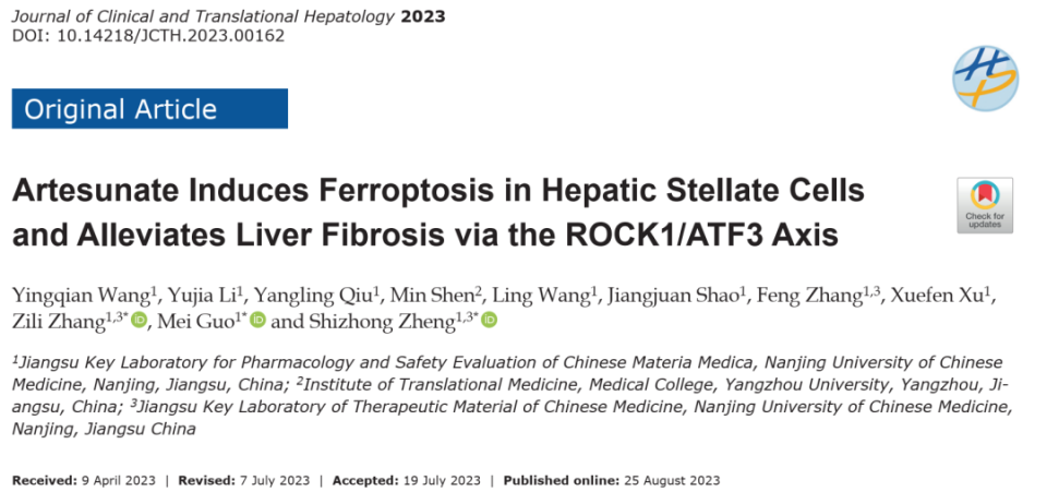 青蒿琥酯：一种通过调控ROCK1/ATF3轴缓解肝纤维化的铁死亡诱导剂_腾讯新闻