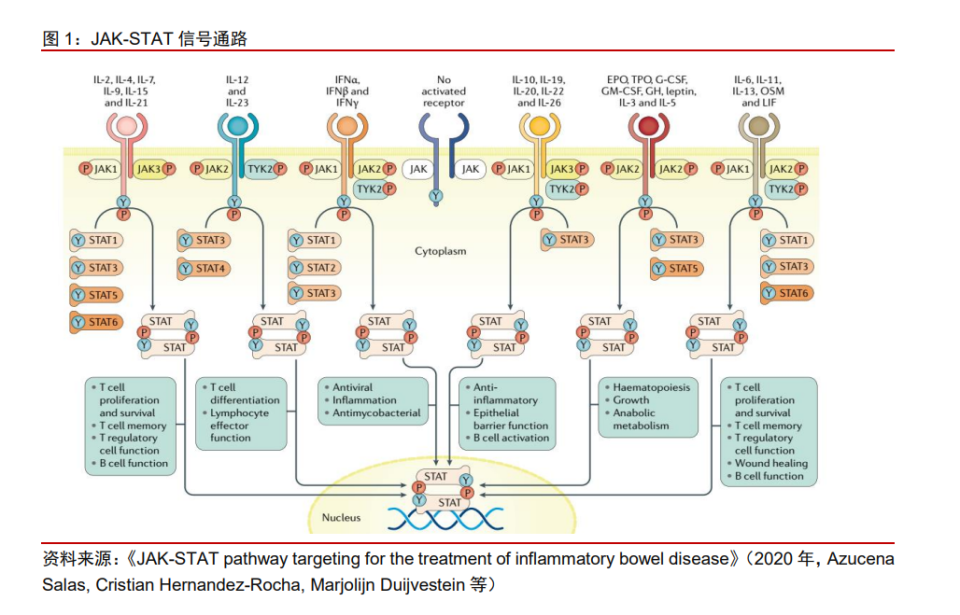 医药行业JAK1抑制剂专题研究：迭代上市，立足自免蓝海市场_腾讯新闻
