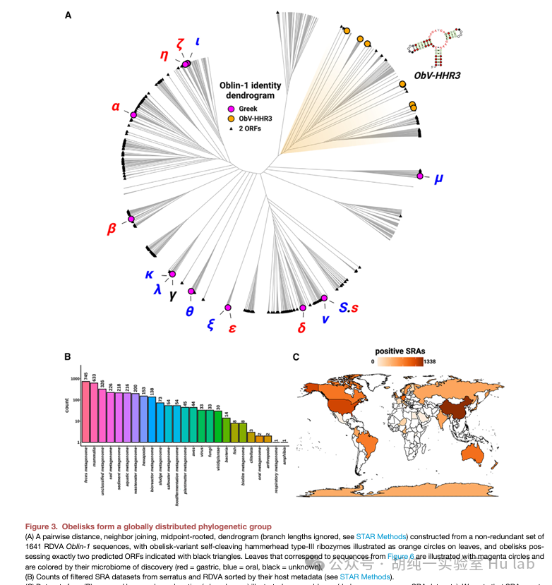 Cell| 新研究揭示人类微生物组蕴含独特的RNA类病毒Obelisks_腾讯新闻