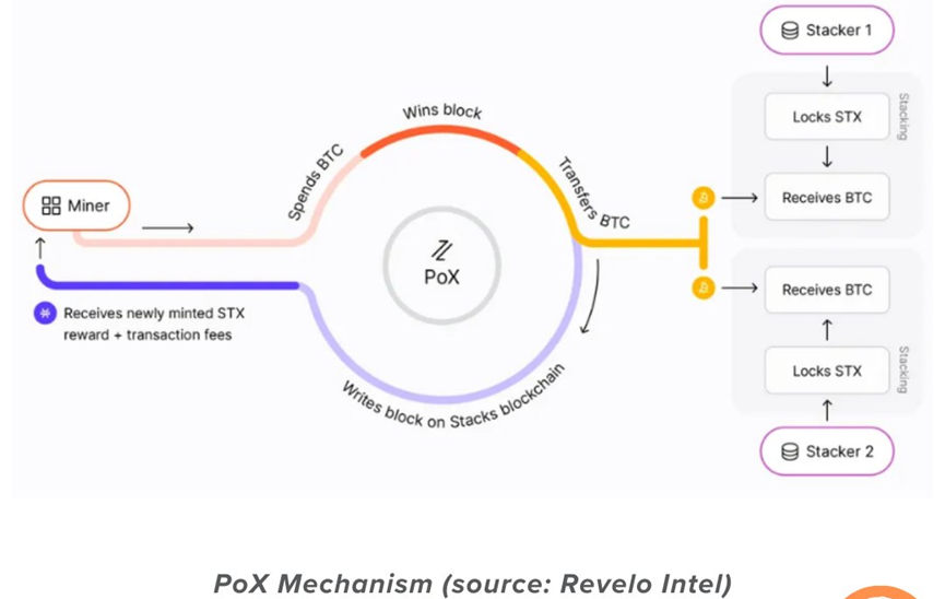 详解比特币Layer2网络Stacks：ETF获批和比特币减半能否“带飞”_腾讯新闻