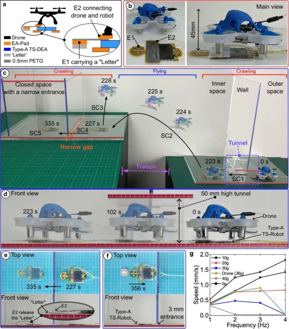 英国诺丁汉大学开发超薄软体机器人TS-Robot 每秒输出力度可达其重量41倍_腾讯新闻