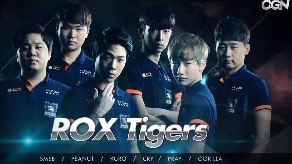 作为韩旺乎去感受你的人生 | Peanut退役_腾讯新闻