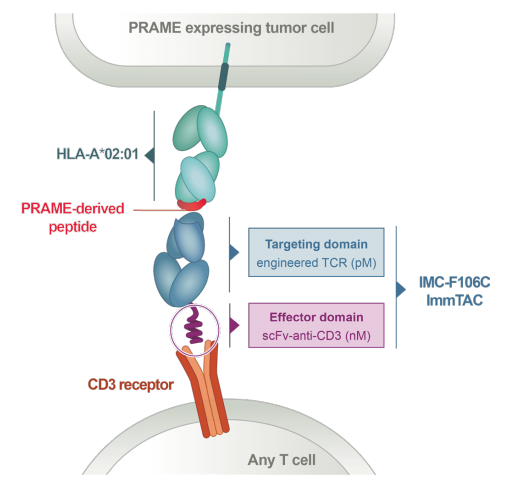ASCO热评丨陈誉教授：免疫治疗耐药黑色素瘤的新探索，IMC-F106C与SX-682药物研究进展_腾讯新闻