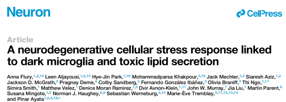Neuron：科学家揭示“黑暗”小胶质细胞通过分泌脂质损害神经元_腾讯新闻