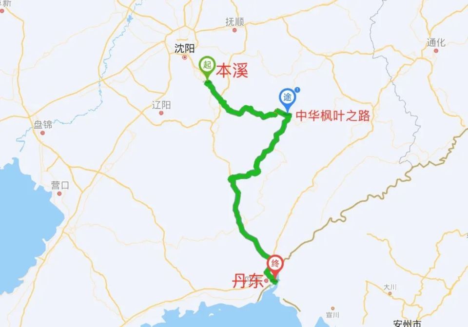 深藏不露的“东北小江南”，独霸世界上一半的百年银杏大道，即将迎来颜值巅峰期！_腾讯新闻