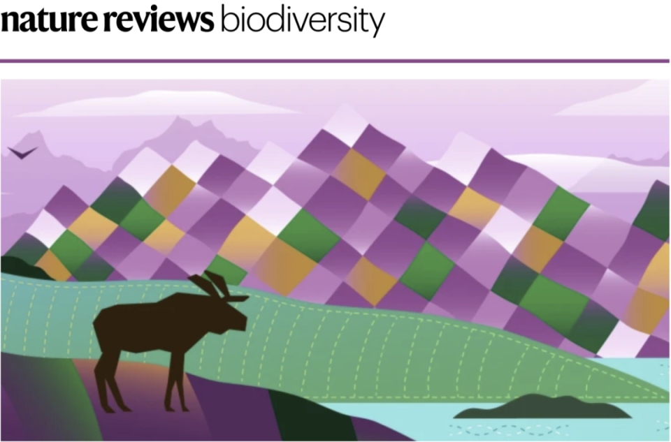 2025年新刊｜Nature Portfolio再添两本《自然》系列期刊_腾讯新闻