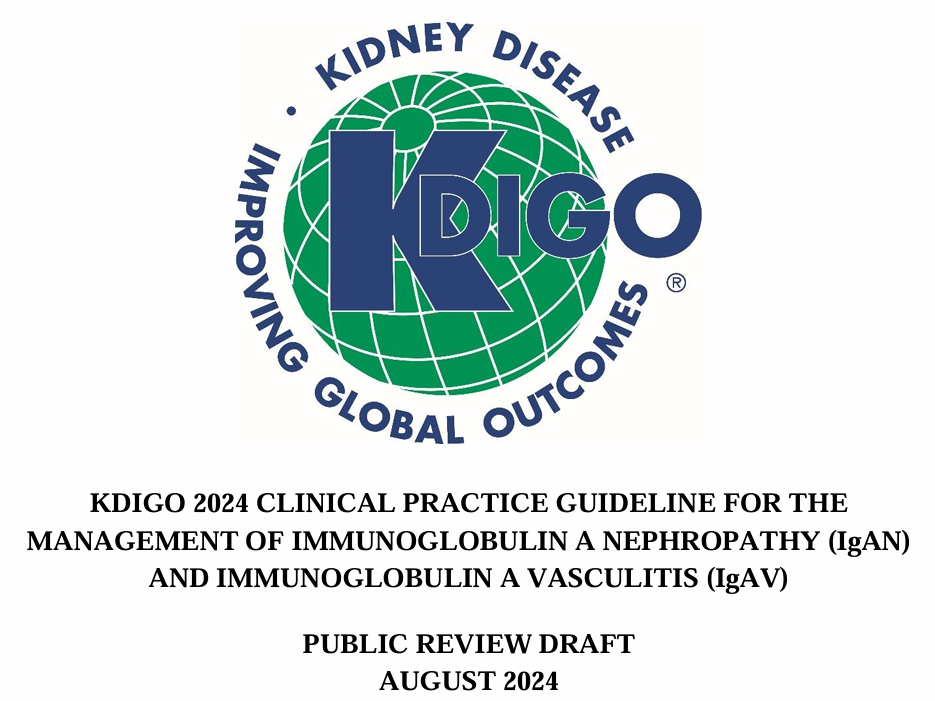 新进展，新未来丨2024 KDIGO IgAN指南征求意见稿发布，治疗策略重大更新！_腾讯新闻