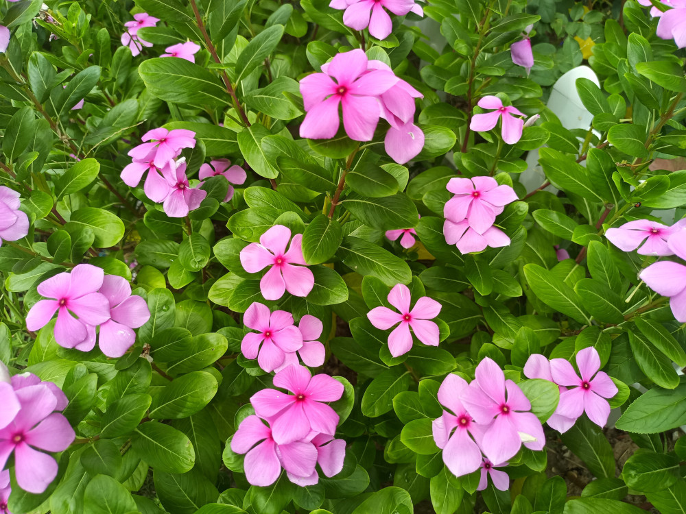 Unihertz Jelly Star迷你手机评测：3.0英寸，背面还设有LED灯带_腾讯新闻