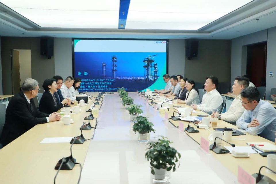 陆卫东会见ChemOne新加坡首化集团全球副总裁_腾讯新闻