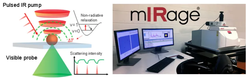 首次实现活体细胞内纳米结构无标记化学成像，科学家用AI开发受激拉曼纳米成像技术，分辨率可达86纳米_腾讯新闻