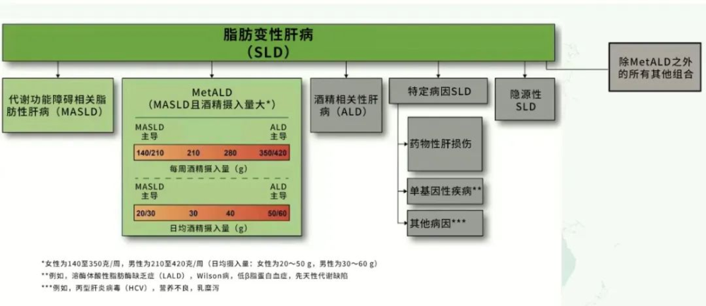 EASL专访丨魏来教授谈NAFLD更名MASLD，乙型肝炎研究范式探索和2023欧肝会之行收获_腾讯新闻