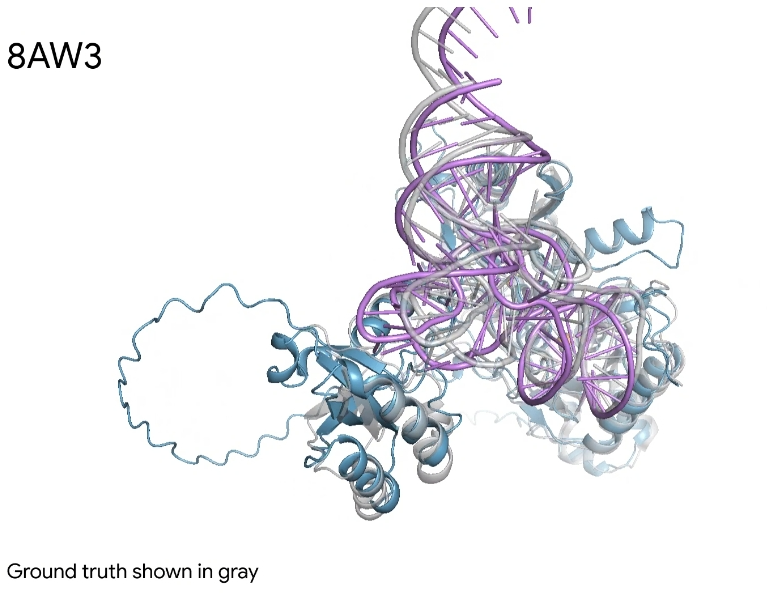 AlphaFold3来了！无需输入任何结构信息，生物分子预测精度高出50%_腾讯新闻