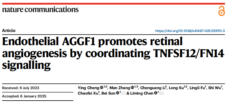 《自然·通讯》：陈莉明教授团队发现内皮细胞AGGF1介导TNFSF12/FN14信号通路调控血管新生的分子机制_腾讯新闻