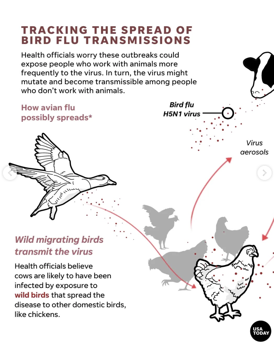 美国首现H5N1重症病例，前CDC主任警告禽流感比新冠肺炎更具破坏性_腾讯新闻