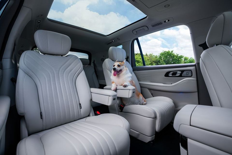 用理想L8一半的价格买理想L8 限时17.38万起 吉利银河M9正式上市_腾讯新闻